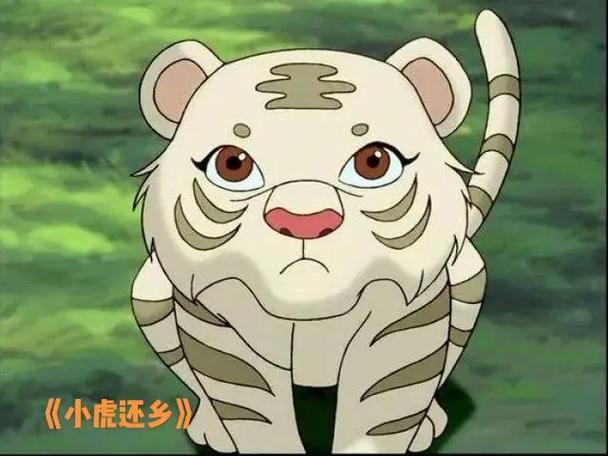 小虎还乡老羊