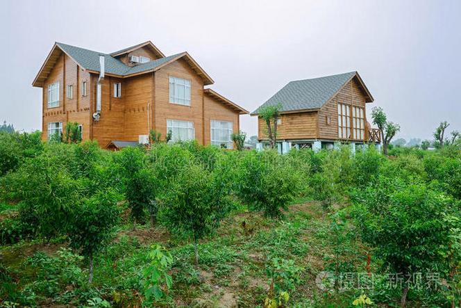 果林小屋徐大安晓芸小说图标