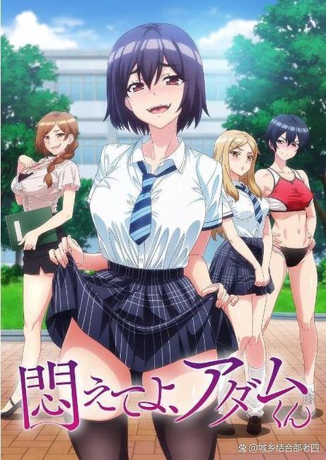 泡面番剧排行榜