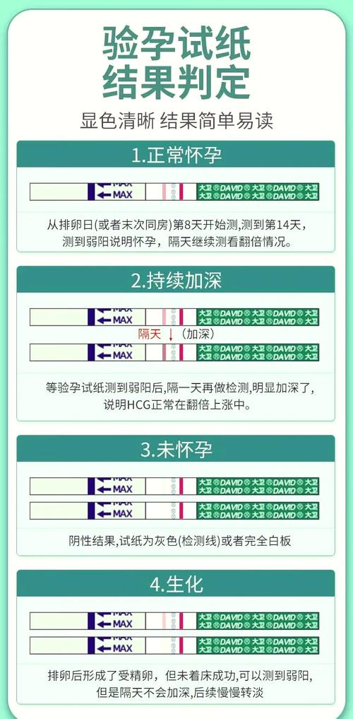 一条杠有怀孕的可能吗图标
