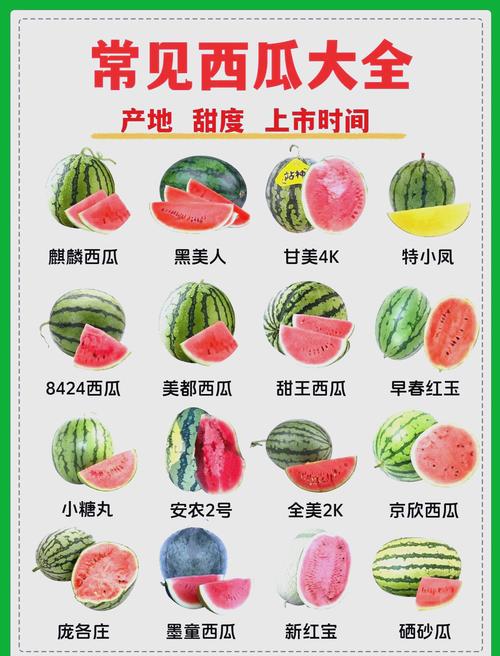 西瓜品种一览表截图