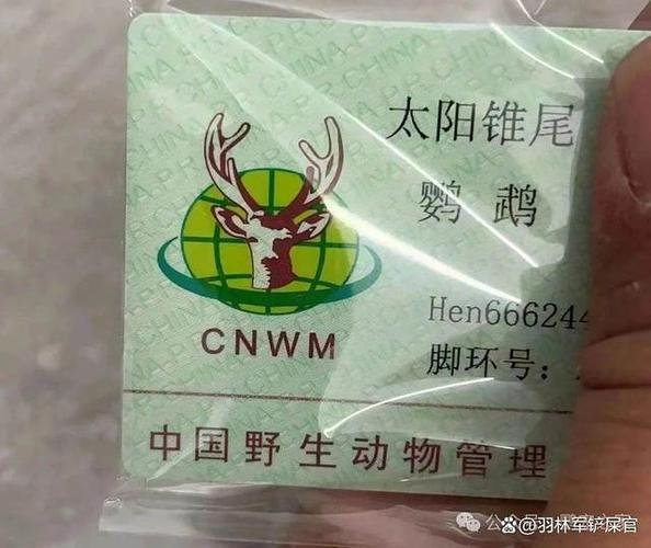 鹦鹉标识卡真假对照图图标