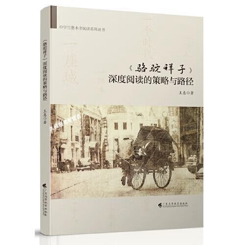 深度阅读的策略和方法截图