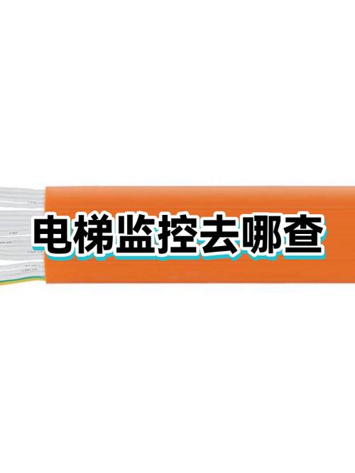 电梯监控在哪里查图标