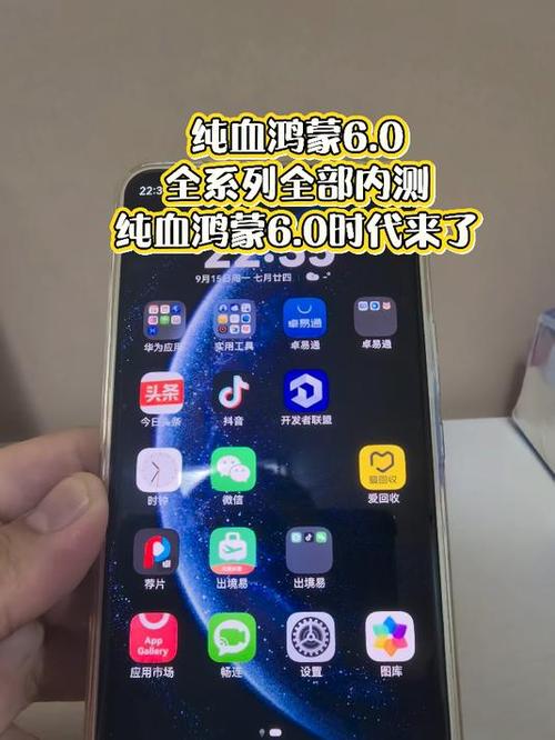 鸿蒙6.0是纯血鸿蒙吗?图标