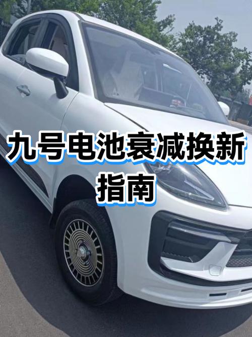 九号电动车电池衰减情况截图