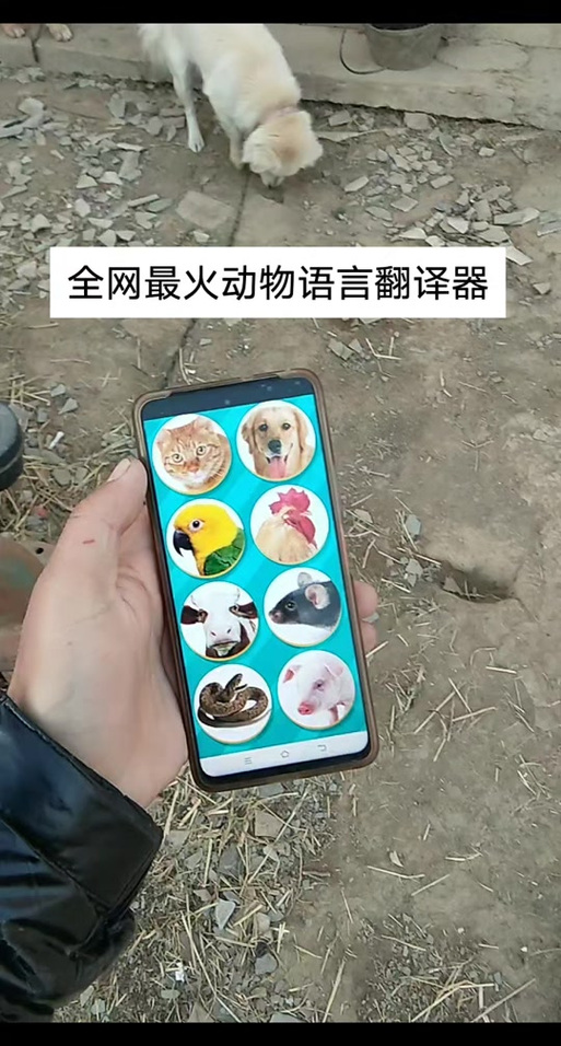 人兔翻译器中文版图标