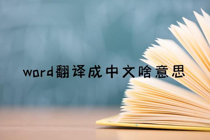 word是什么意思翻译成中文图标