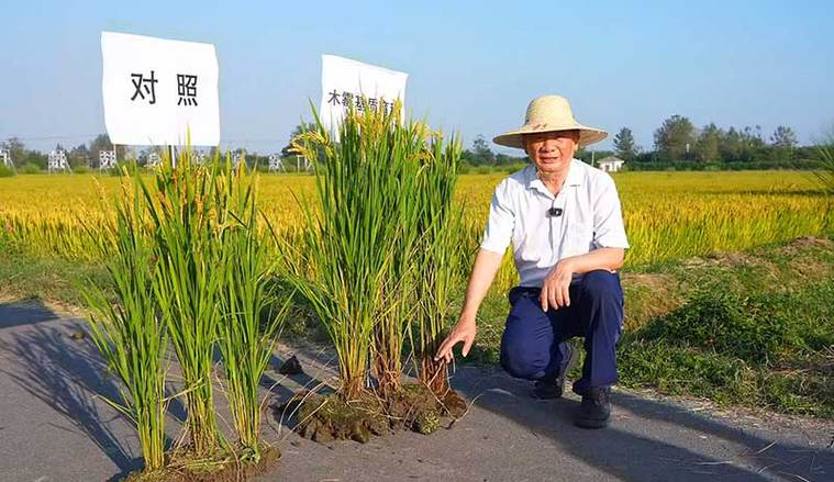 稻田征收多少钱一亩截图