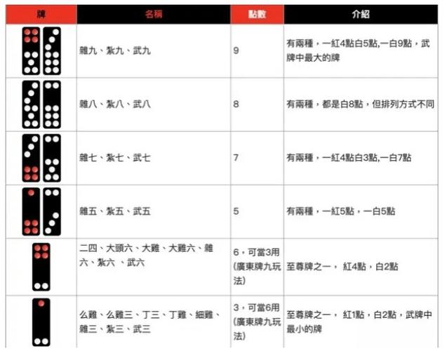 广东天九牌玩法介绍图标