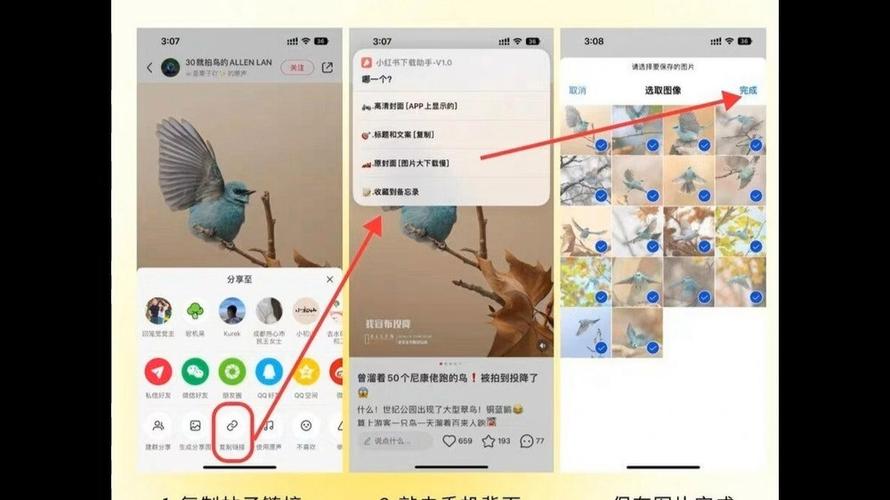 视频转实况照片快捷指令图标