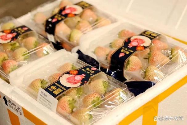 草莓加速
