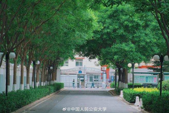 绿色显老还是显年轻图标