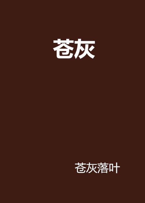 随梦小说网老版本图标