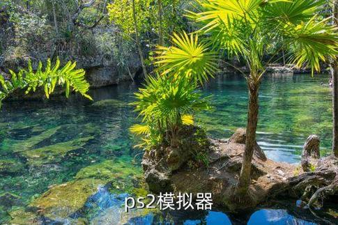 悟饭PS2插件图标