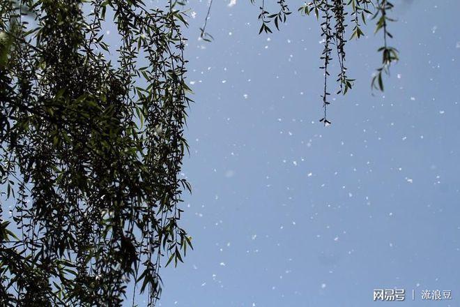 监控摄像头收音门外能听到吗图标