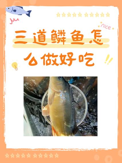 鱼如何去鳞图标