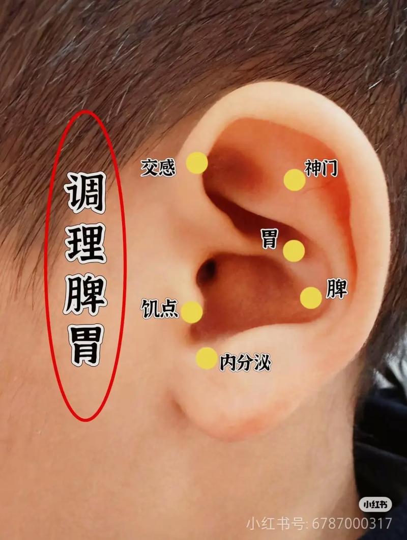 让耳垂变小的妙招图标