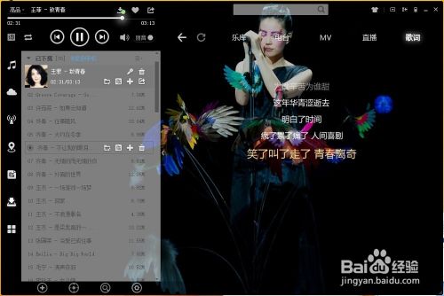 酷狗音乐歌词解除锁定图标