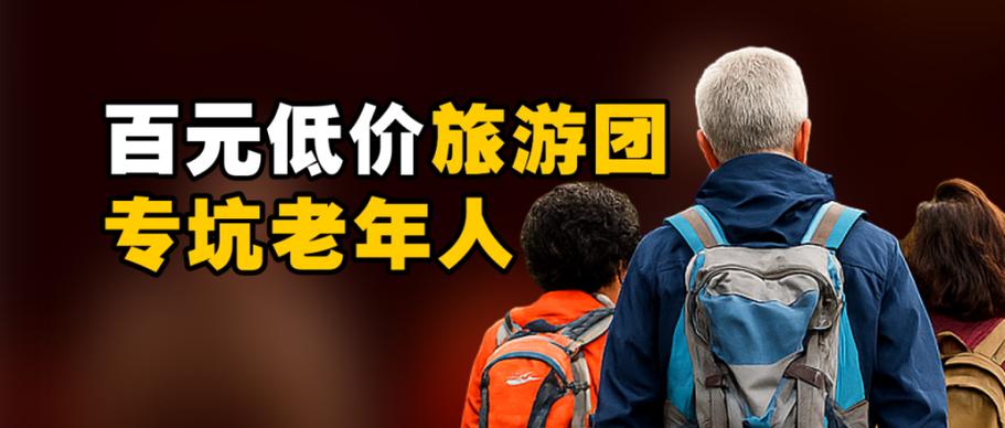 低价老年团挣什么钱截图
