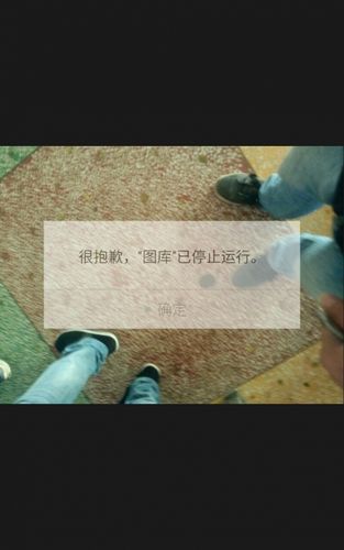 图库屡次停止运行怎么办图标