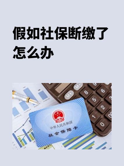 手机如何绑定社保卡游戏截图