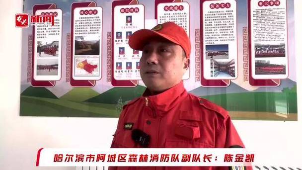 森林防火的作文截图