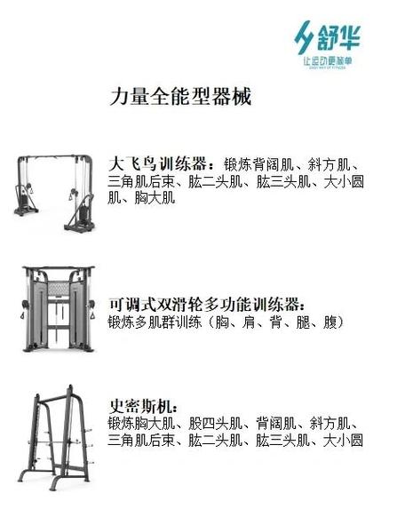 大飞鸟训练器使用教程截图