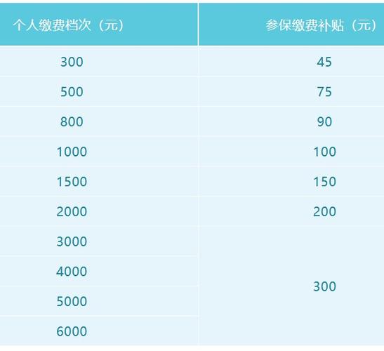 2025养老缴费价格表图标