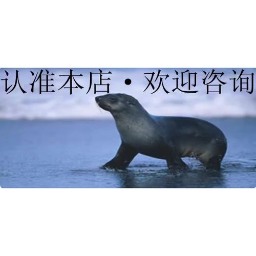 abc课程预约截图