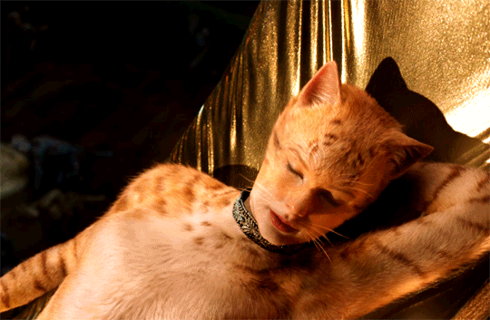 《猫》电影截图