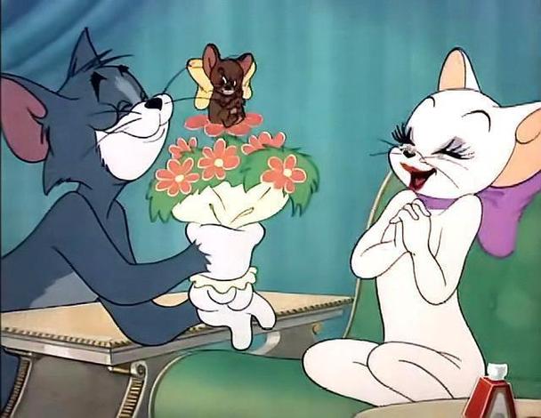汤姆是什么品种的猫图标