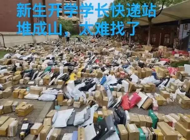 快递更新到一站不动了截图