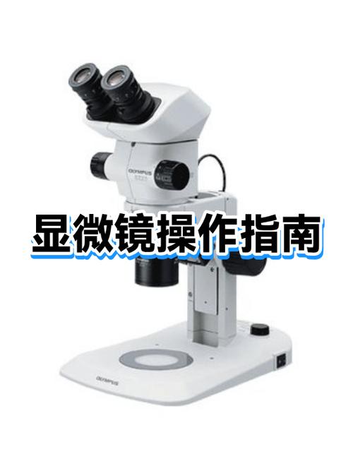 显微镜imageview使用方法缩略图