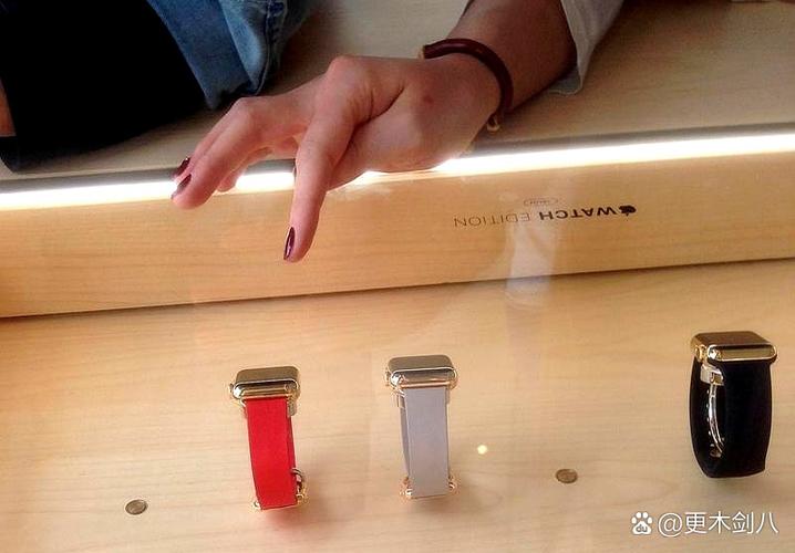苹果手表的使用寿命图标