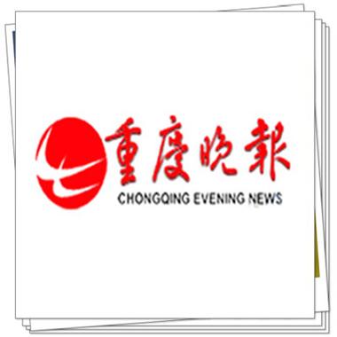 重庆晚报数字版图标
