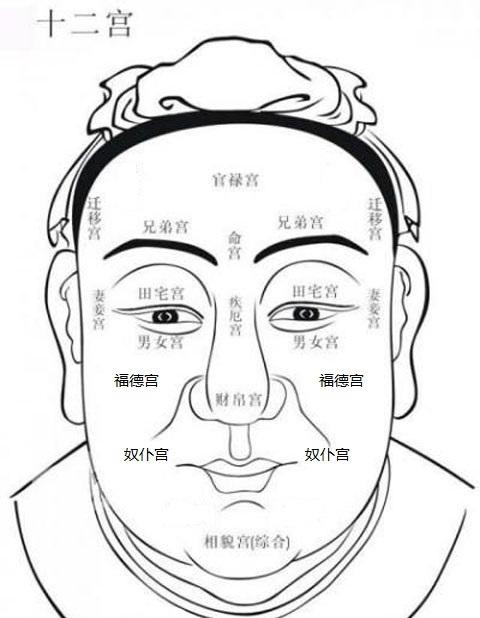 面部十二宫图解运势 风水学
