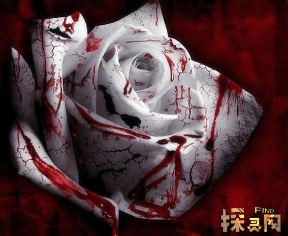 黑色星期五禁曲图标
