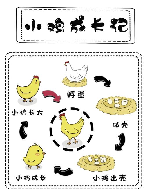 小鸡孵化技术图标