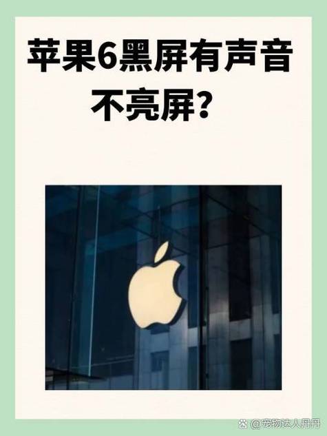 苹果6黑屏但是有声音截图