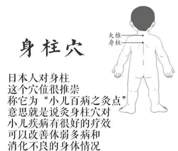 小儿准确位置图图标