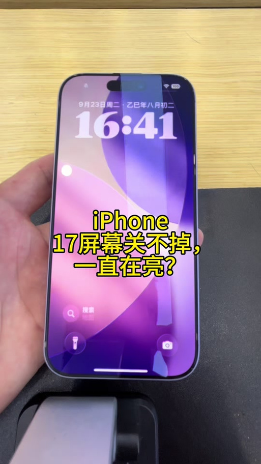 苹果手机17静音键在哪里设置的图标