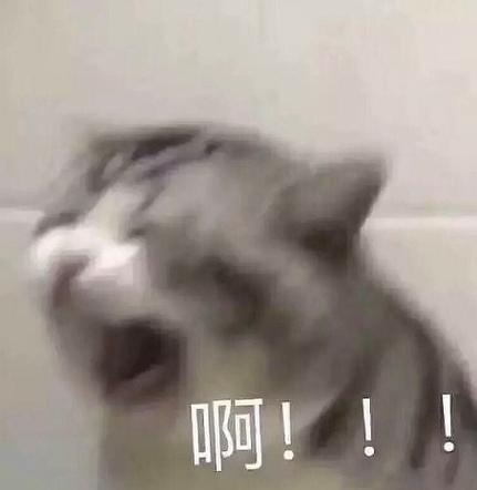 大声喊的表情包截图