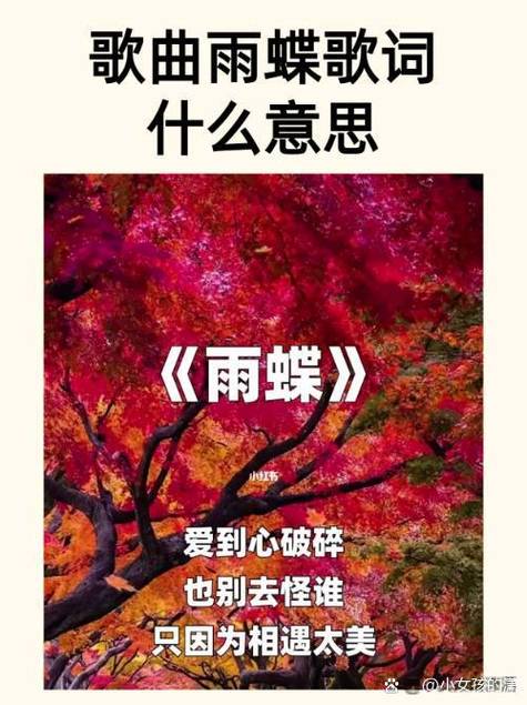 雨蝶这首歌想表达的意思图标