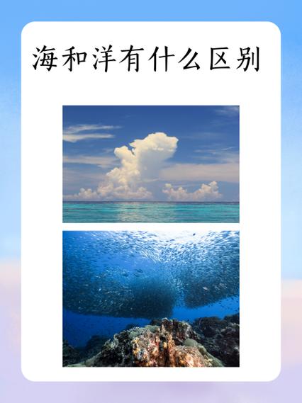 中国的海属于什么洋图标