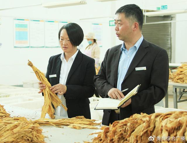 烟农贷款产品介绍图标