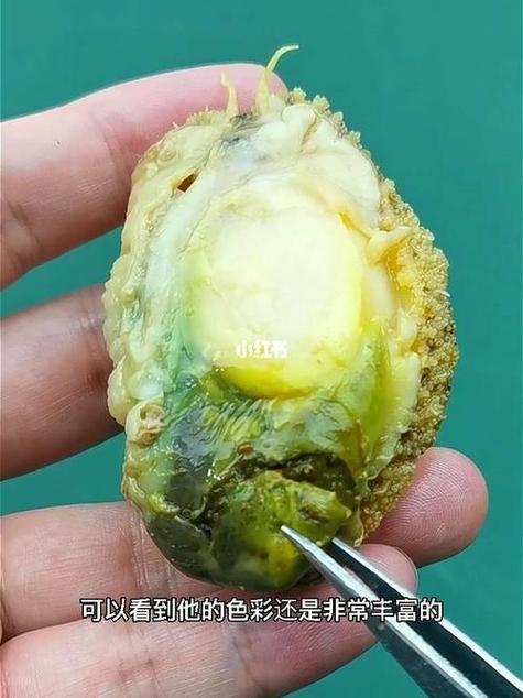 鲍鱼内脏绿色能吃吗图标