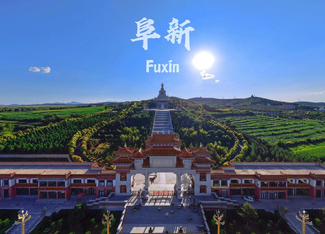 阜新民心网图标