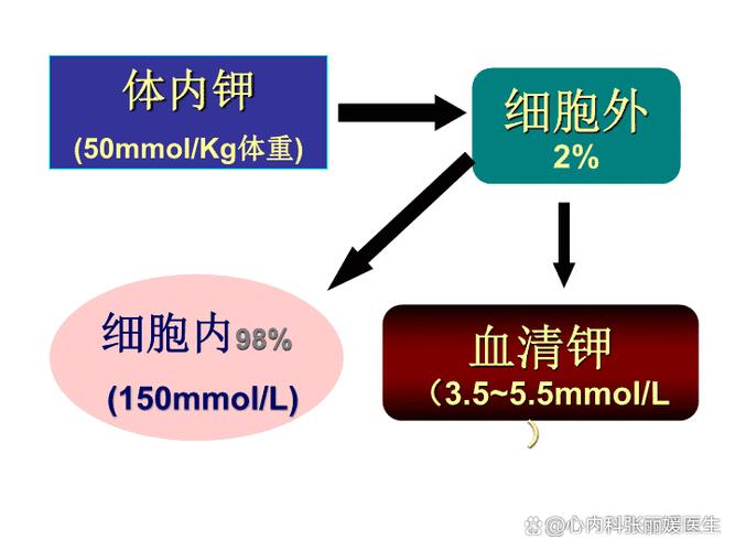 血钾是什么鬼图标