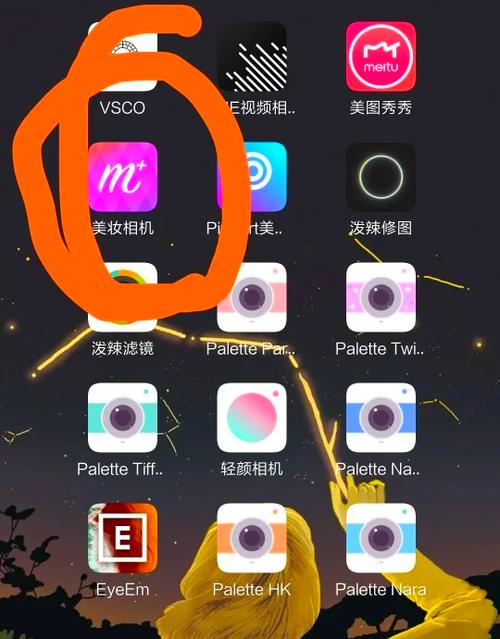 怎样取消美妆相机自动续费功能截图